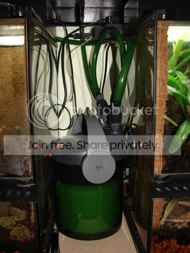Tadpole Rearing System | Reptile Forums