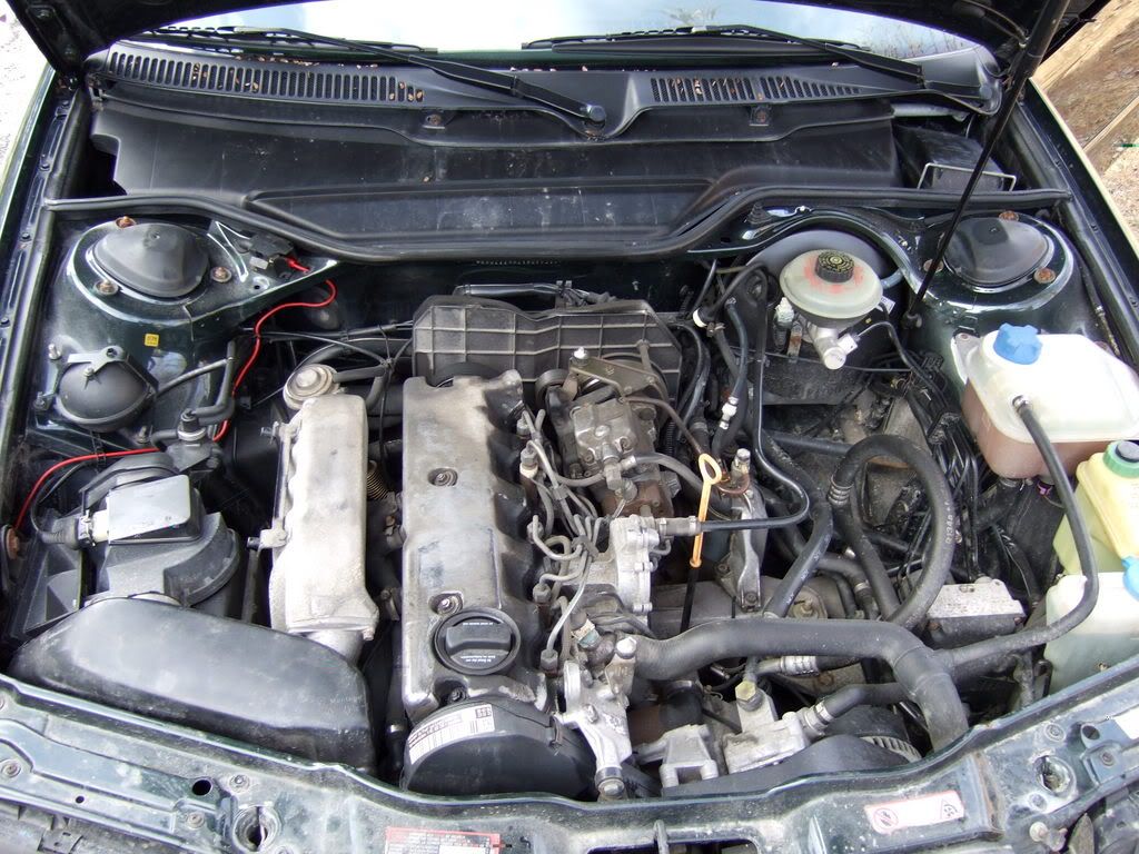 Audi celibrates 40 years of the 5 cylinder engine. | Club GTI